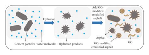 Diagrammatic Sketch Of Go Influence On Ceap Download Scientific Diagram