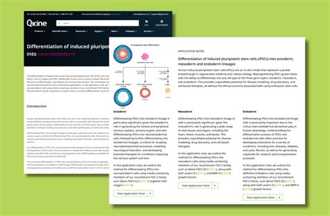 Application Note Differentiation Of Induced Pluripotent Stem Cells Ipscs Into Ectoderm