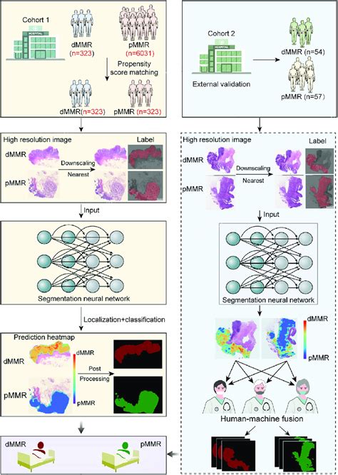 The Workflow Of The Framework Download Scientific Diagram