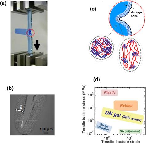 Figure 2 From Super Tough Double Network Hydrogels And Their Application As Biomaterials