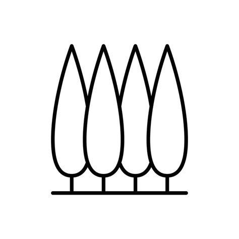 Cypress Tree Icon Simple Outline Style Tuscany Italy Foliage