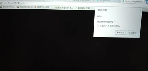 无法进入web终端 Issue jumpserver jumpserver GitHub