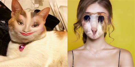 creating fun photo mashups with python face swapping using opencv
