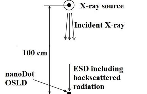 The Schematic Diagram For Direct Measurement With Osl Nanodots Attached