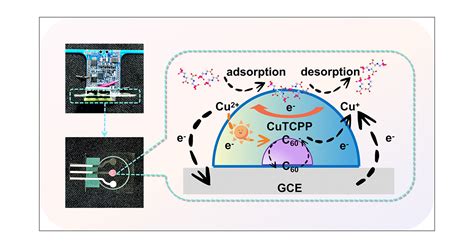 Portable Integrated Sensor Based On C60 Encapsulated Into Cu Based
