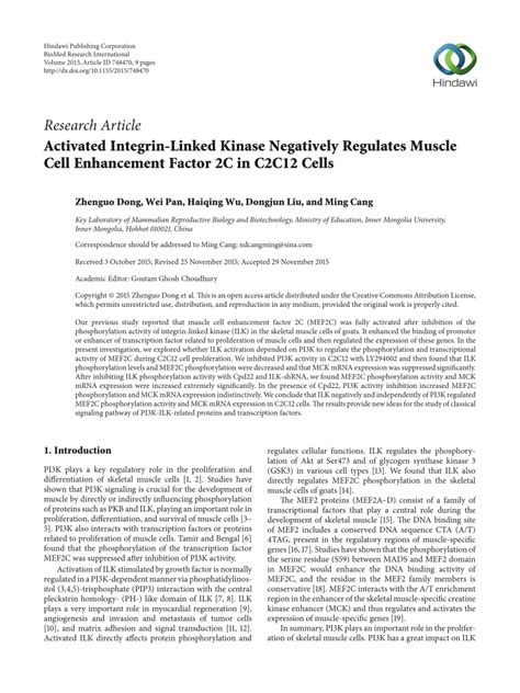 Pdf Activated Integrin Linked Kinase Negatively Regulates Muscle Cell Enhancement Factor 2c In
