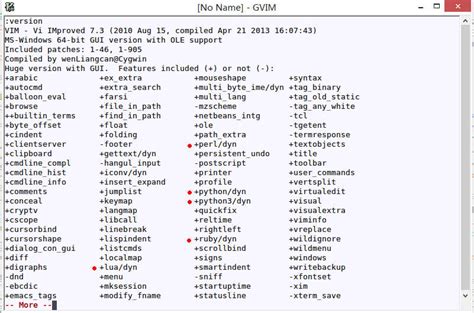 Windows下编译支持多种脚本语言的64位vimgvim 尹良灿得闲