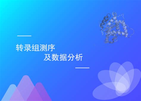 唯那生物 微生物研究与应用专业服务商 上海唯那生物官网