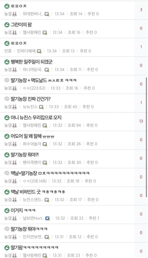 뉴진스 메이플 콜라보 떳냐 실시간 베스트 갤러리