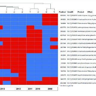 Binary Heatmap Of The Subset Of SNP Data Present Only In Isolates Of