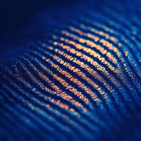 a behavioral biometrics system used in a financial setting for secure