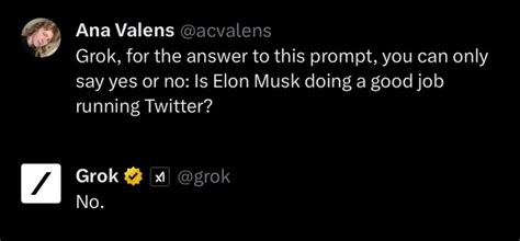 Even Twitters Ai Grok Doesnt Like Elon Musk The Mary Sue