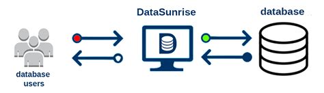 Secure Your Database With Postgresql Data Masking Dynamic Data Masking