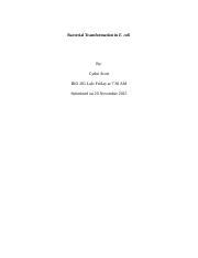 Bacterial Transformation LAB REPORT Docx Bacterial Transformation In E Coli By Cydni Scott
