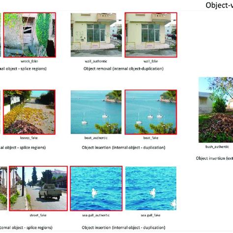 Dataset Extension Augmentation Additional Photos Captured And