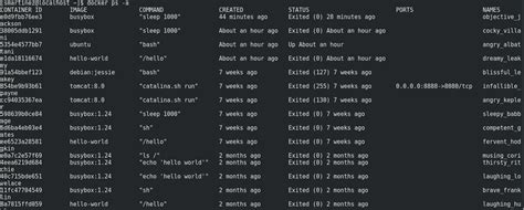 Docker How Can I Get The Complete Container Id Of A Existing Container