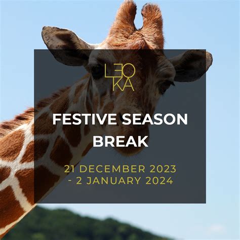 Leoka On Linkedin Leoka Leokaengineering Engineeringprojects