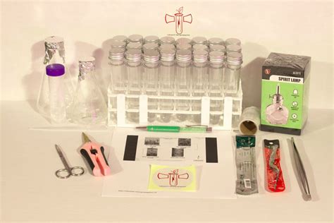 Cannabis Tissue Culture Kit Plant Tissue Culture Micropropagation Diy