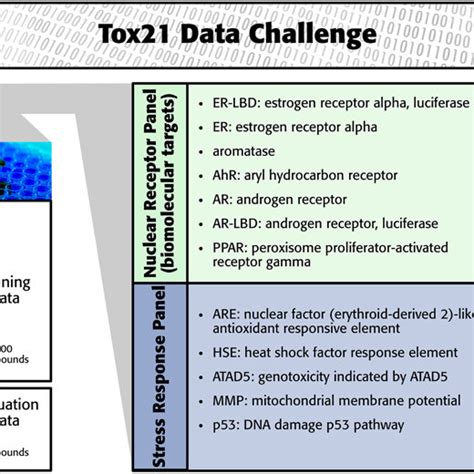 Pdf Deeptox Toxicity Prediction Using Deep Learning