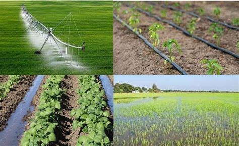 4 Types Of Irrigation Diagram Quizlet
