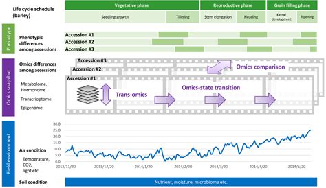 Frontiers Crop Improvement Using Life Cycle Datasets Acquired Under Field Conditions