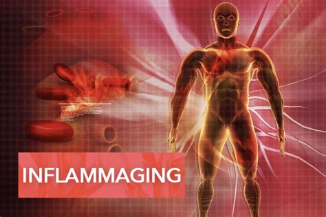 Inflammaging The Hidden Cause Of Disease And Ageing And How To