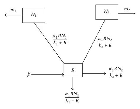 Flow Charts Summarizing The Conceptual Framework Of The Formulated