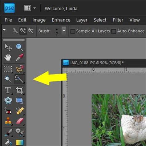 Photoshop Elements Layer Masks Linda Matthews