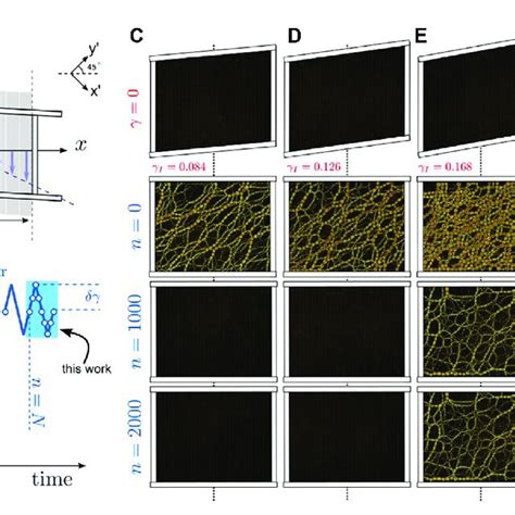 Hu Zheng Professor Doctor Tongji University Shanghai Department Of Geotechnical Engineering