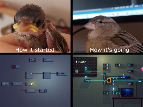 The Sparrow I Found At The Same Time I Started My Project Is Now On My Shoulder When I Code The