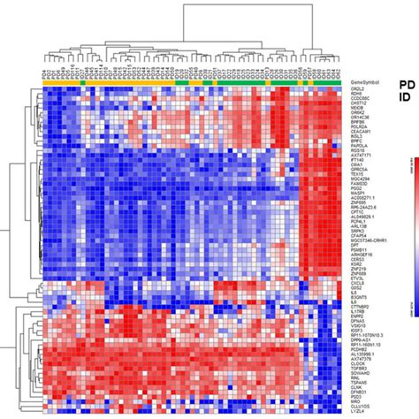 hierarchical clustering analysis of differentially expressed lncrnas in