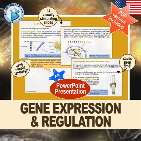 Gene Expression And Regulation Powerpoint Presentation Us Edition