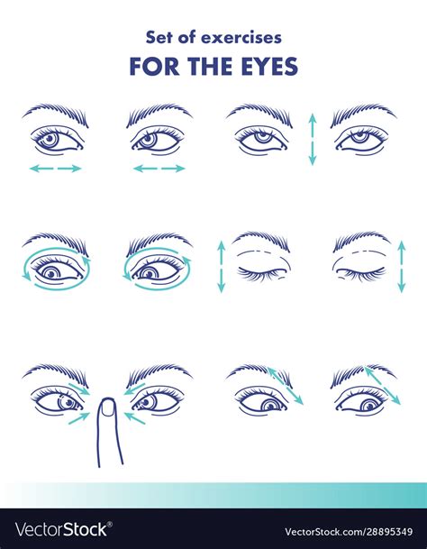 Set Exercises For Eyes Visual Acuity Line Vector Image