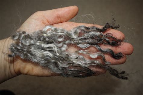 Wool Orchard View Lincoln Longwools