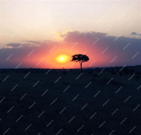 Premium Photo Silhouette Of Landscape At Sunset