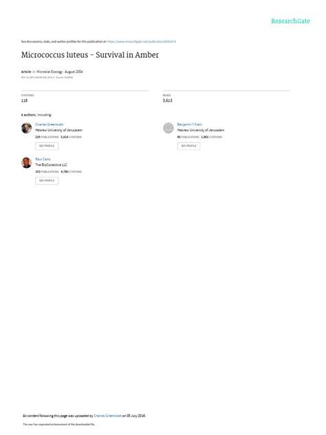 Micrococcus Luteus Survival In Amber Pdf Bacteria Polymerase Chain Reaction