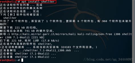 Kali Linux捆绑工具shellter的安装及使用 Csdn博客