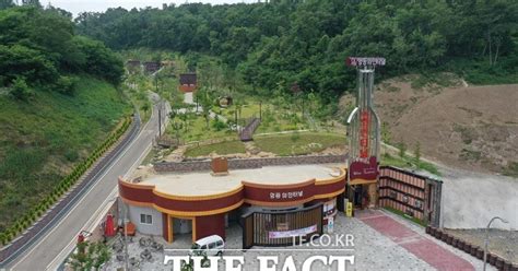 영동와인터널서 맞는 특별한 X마스 군 3~25일 이벤트