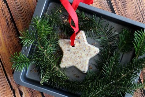 Diy Vogelfutter Sterne Provinzkindchen