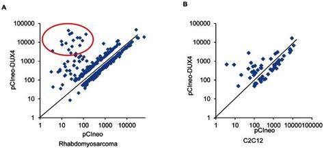 To Clearly Visualize Transcripts Highly Induced By Dux4 Only