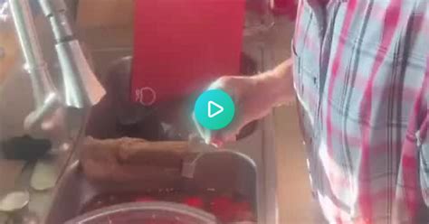 Tomato Paste Album On Imgur