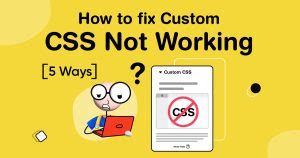 How To Fix Custom CSS Not Working 5 Ways