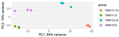 Transcriptome Analysis Of Developing Grains From Wheat Cultivars Tam 111 And Tam 112 Reveal