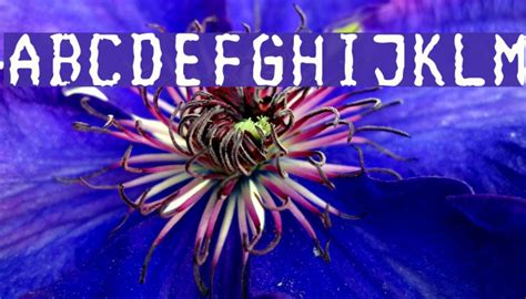 Console Font Ffonts Net