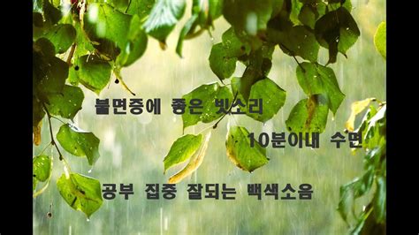 잠잘오는 빗소리 수면음악 1시간연속듣기 수면유도 자연의소리 힐링 수면유도 수면음악 스트레스해소 집중력향상 1시간연속듣기 Youtube