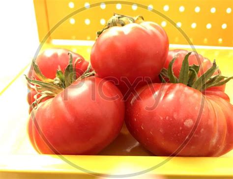 Image Of Aquaphonics System Uae Rh787924 Picxy