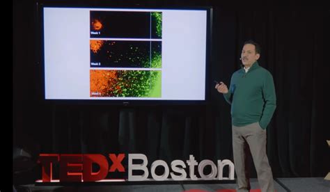 Harvard Prof Allegedly Falsified Data Tainting Study Results