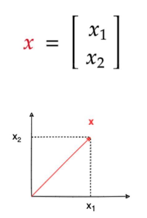 Vector Norms A Quick Guide Built In Hiswai