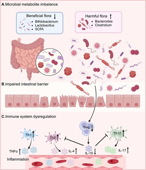 Gut Microbiota Dysbiosis Pathogenesis Diseases Prevention And