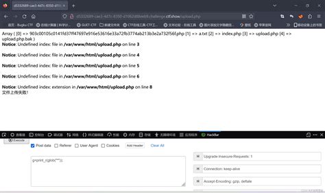 ctf.show_web(1-14)wp_ctfshow web14-CSDN博客